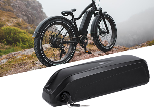 Hailong Plus Electric Bicycle Lithium-ion Battery Pack 1000W Motor 40A ...